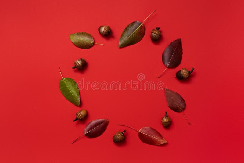 Circle Frame of Different Color Autumn Leaves and Acorns on the Red ...