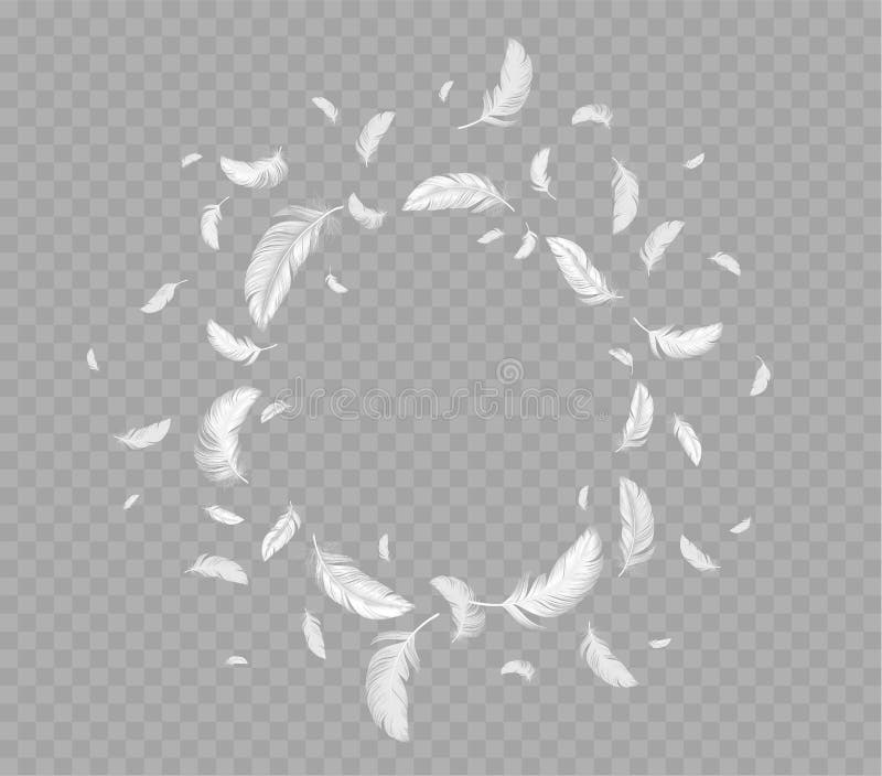Circle Frame of Flying White Soft Bird Feathers Stock Vector ...