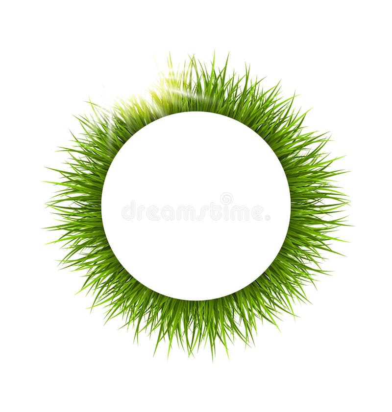 Circle Frame with Grass and Sunlight. Floral Nature Background Stock ...