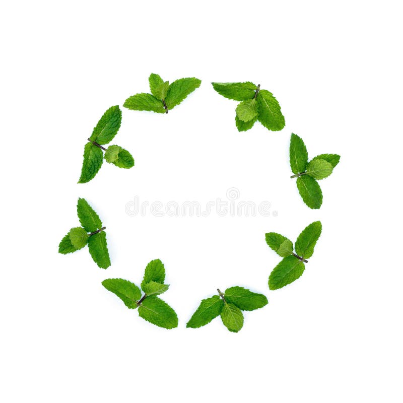 Circle Frame Made of Fresh Mint Leaves Isolated on White Background ...