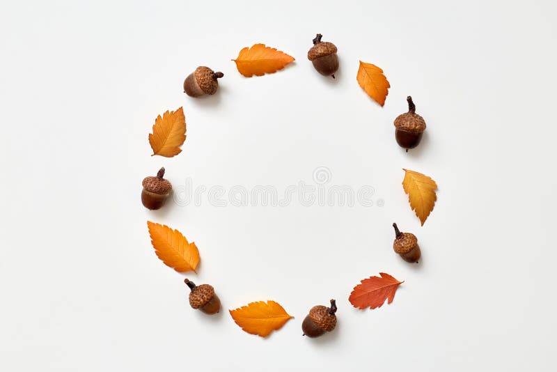 Circle Frame of Red Leaves and Acorns on the White Background Stock ...