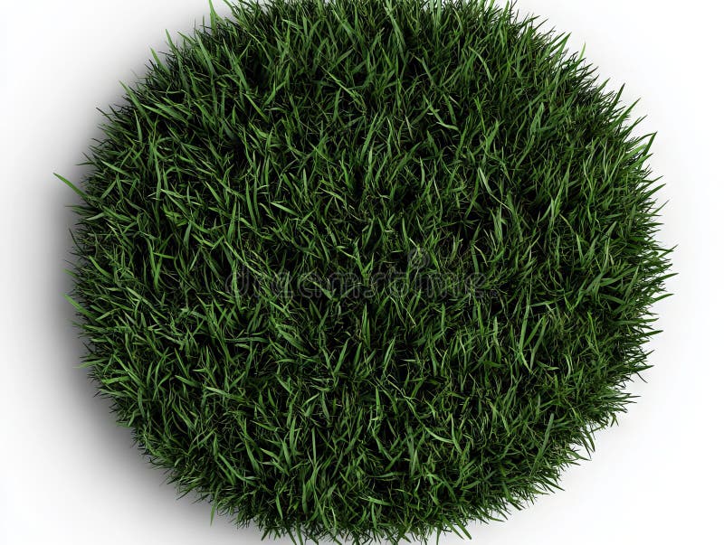 A Circle of Green Grass on a White Background Stock Illustration ...