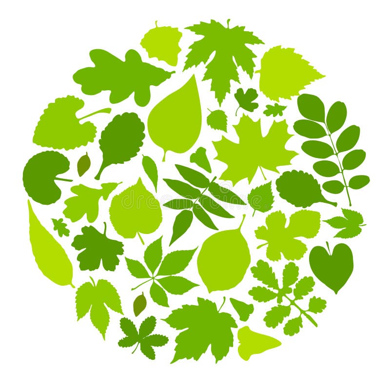 Circle of green leaves. stock vector. Illustration of isolated - 68499683