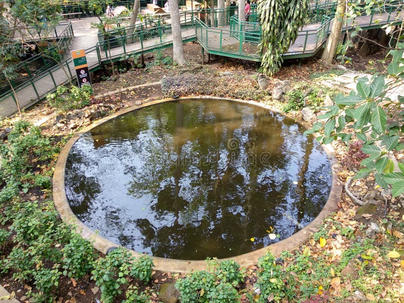 A Circle of Green Pond stock image. Image of circle - 162707405