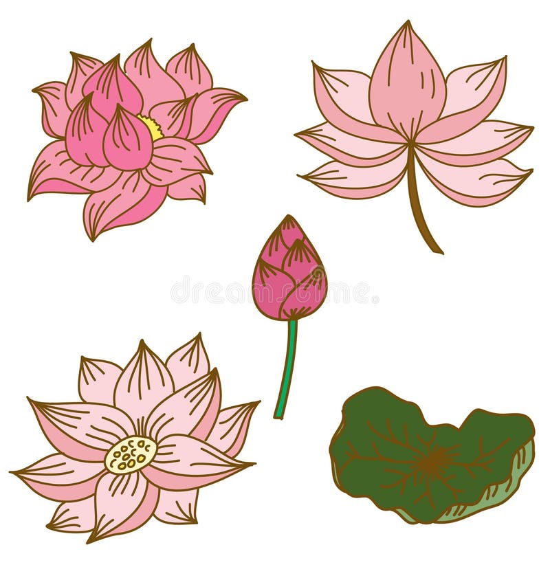 Circle Hand Drawn Lotus Flower Stock Vector - Illustration of black ...