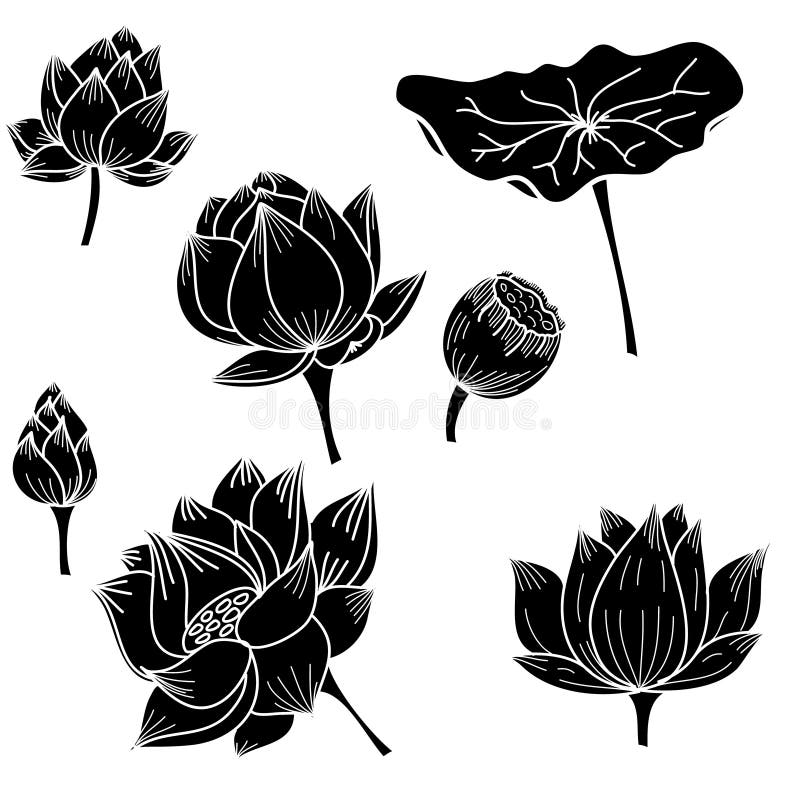 Circle Hand Drawn Lotus Flower Stock Vector - Illustration of oriental ...