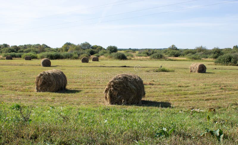 Circle of Hay in the Field Forest on the Horizon and Clouds in the Sky ...