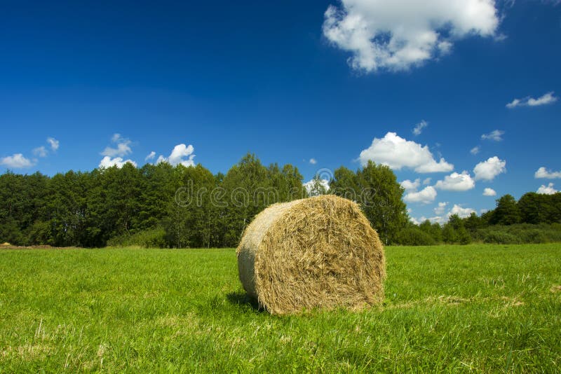 Circle of Hay on a Green Meadow Stock Image - Image of plant, grass ...