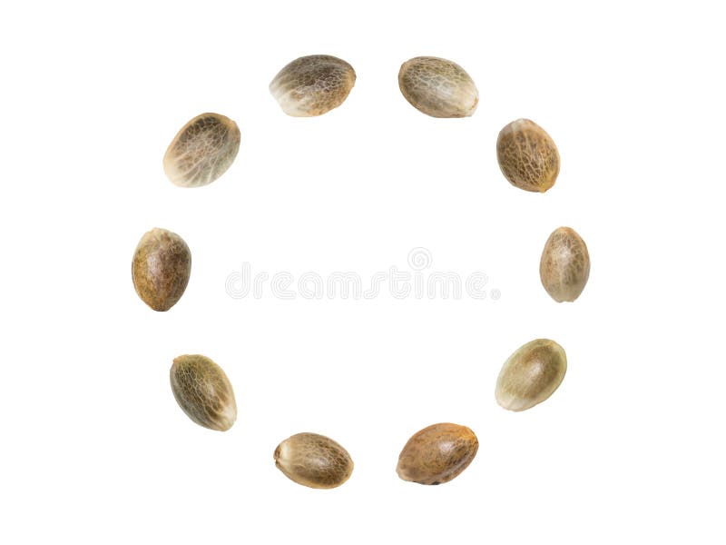 Circle of hemp seeds stock photo. Image of healthy, brown - 123473090