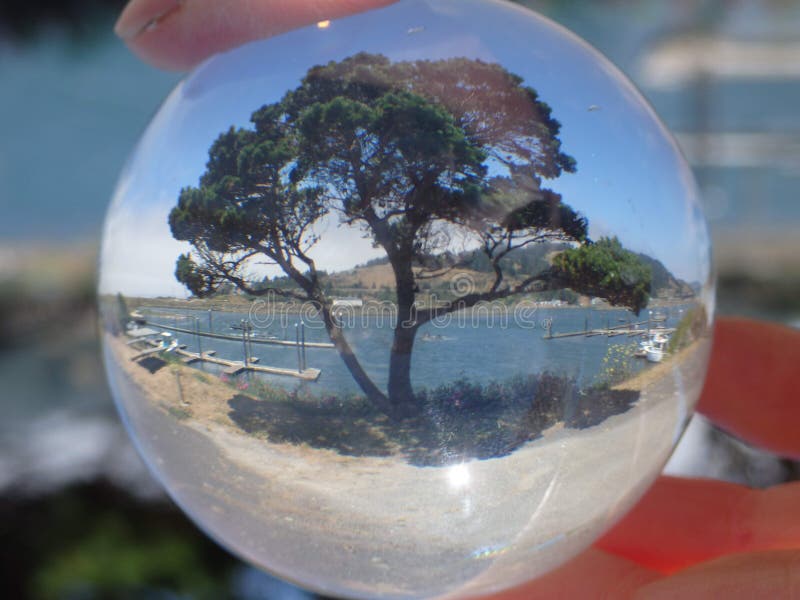 The circle of life stock photo. Image of ball, crystal - 133741462