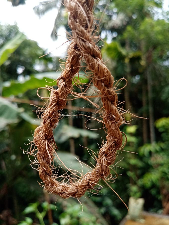 A Circle Made of Coconut Fiber Rope Stock Image - Image of ringing ...