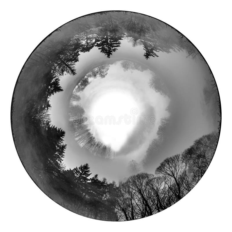 The circle from nature stock illustration. Illustration of evening ...