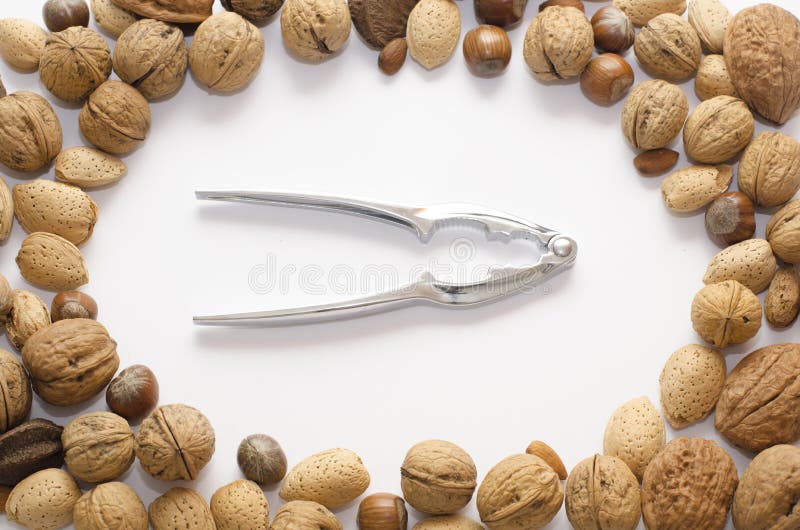 Circle of nuts stock image. Image of walnut, collage - 49841277
