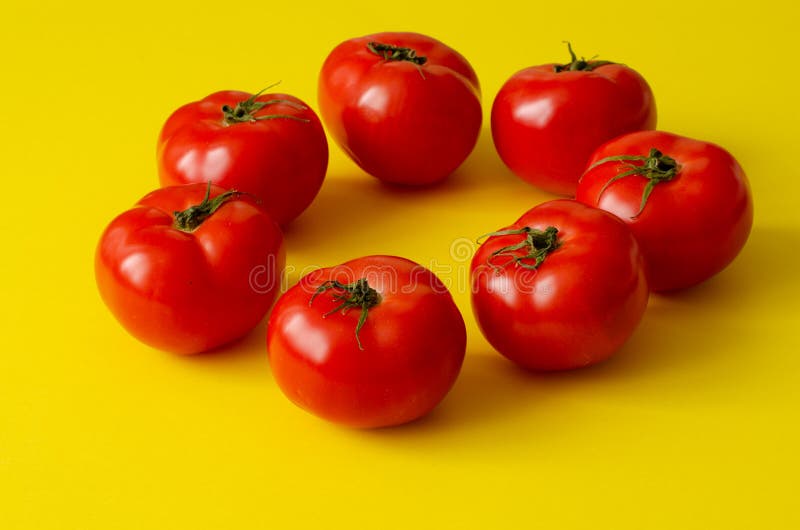 Tomatoes in a circle stock image. Image of circle, round - 194781