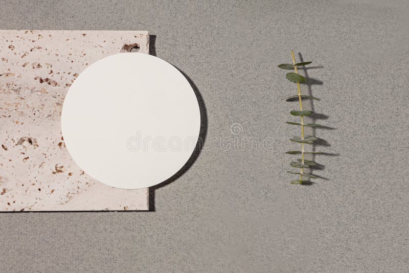 Circle Paper Mock-up, Minimalist Modern Still Life Composition Stock ...