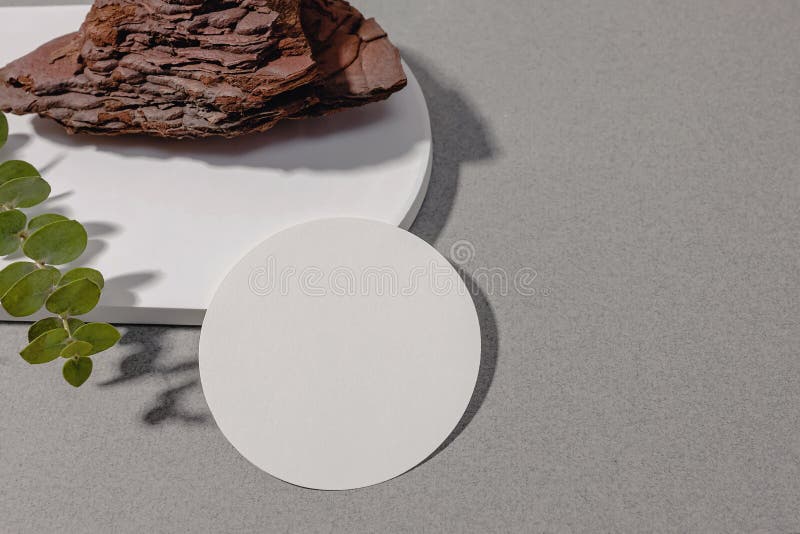 Circle Paper Mock-up in Still Life Composition with Tree Bark, Stone ...