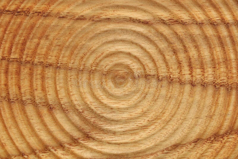Circle Patterned Wood Texture Background Stock Photo - Image of nature ...