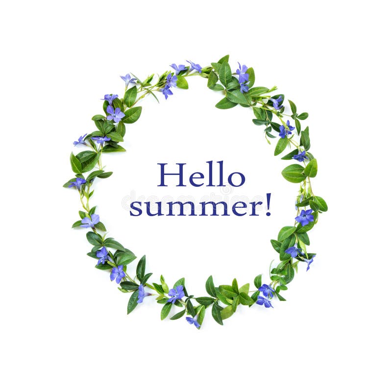 The Element of Decor. a Circle of Periwinkle Flowers on a White ...