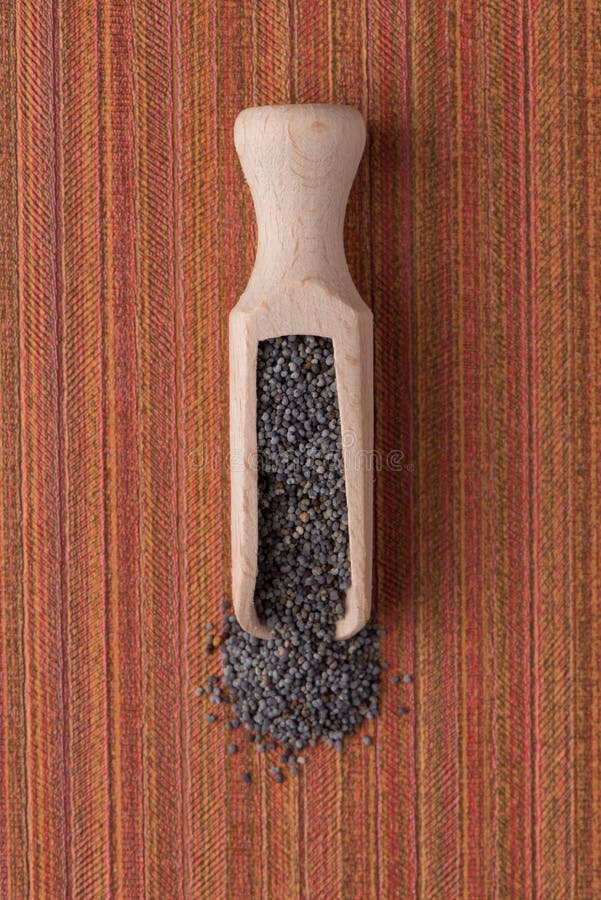 Circle of poppy seeds stock image. Image of pile, isolated - 51721941