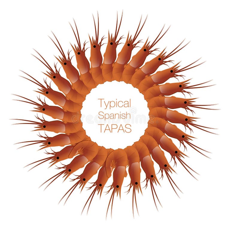 Tapa Stock Illustrations – 850 Tapa Stock Illustrations, Vectors ...