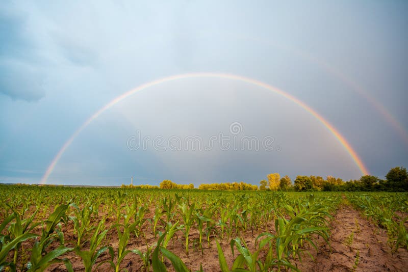 Circle of Rainbow after the Rain Over Farmers Field Stock Image - Image ...