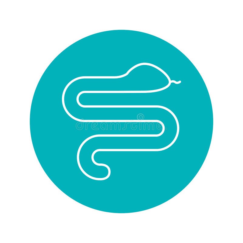 Circle Shape with Snake Wild Animal Stock Vector - Illustration of ...