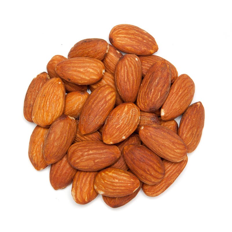 Circle shaped almond. stock photo. Image of isolated - 69463308