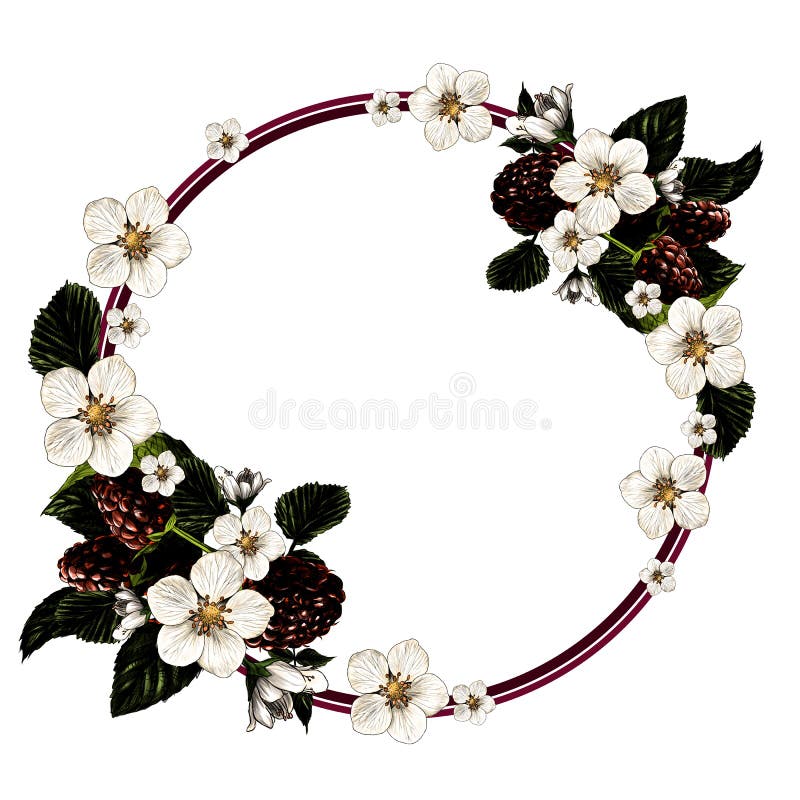 Circle Shaped Frame Surrounded by Raspberry Berries Leaves and Flowers ...