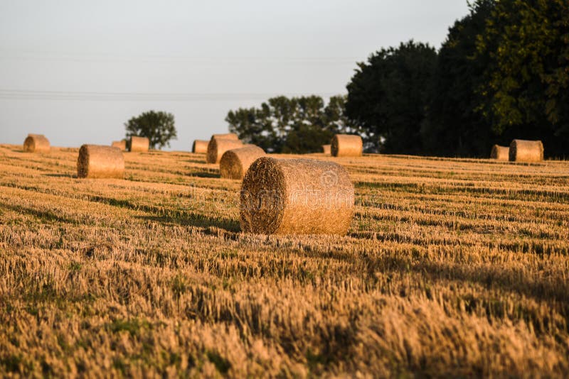 Circle Shaped Straw in the Field during Sunset Stock Photo - Image of ...