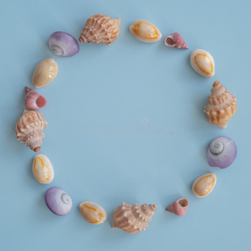 Circle of Shells on Blue Background Stock Image - Image of cantharus ...