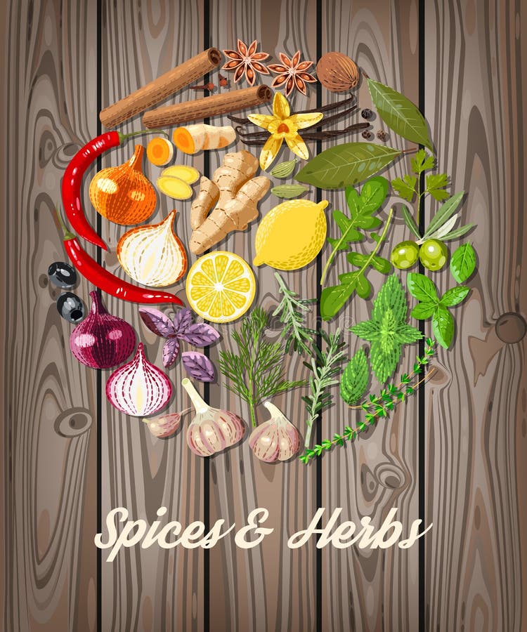 Circle of spices stock vector. Illustration of dill, ginger - 60220077