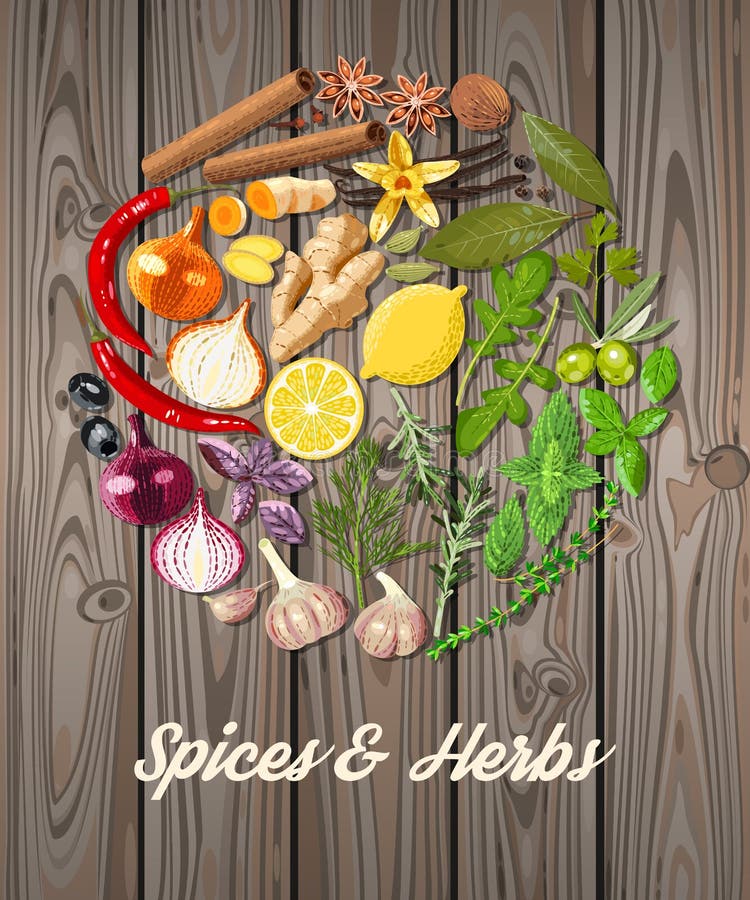Circle of spices stock vector. Illustration of assortment - 60394293