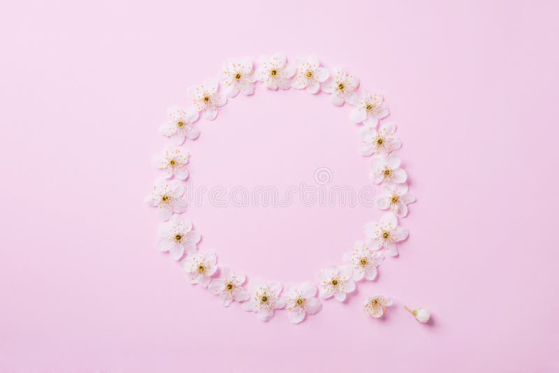 Circle of Spring White Flowers of Cherry Plum on a Pink Background ...