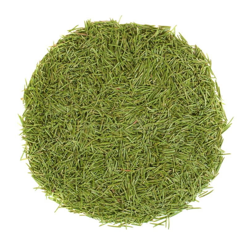 Circle Stack of Green Needles Stock Photo - Image of freshness, dirt ...