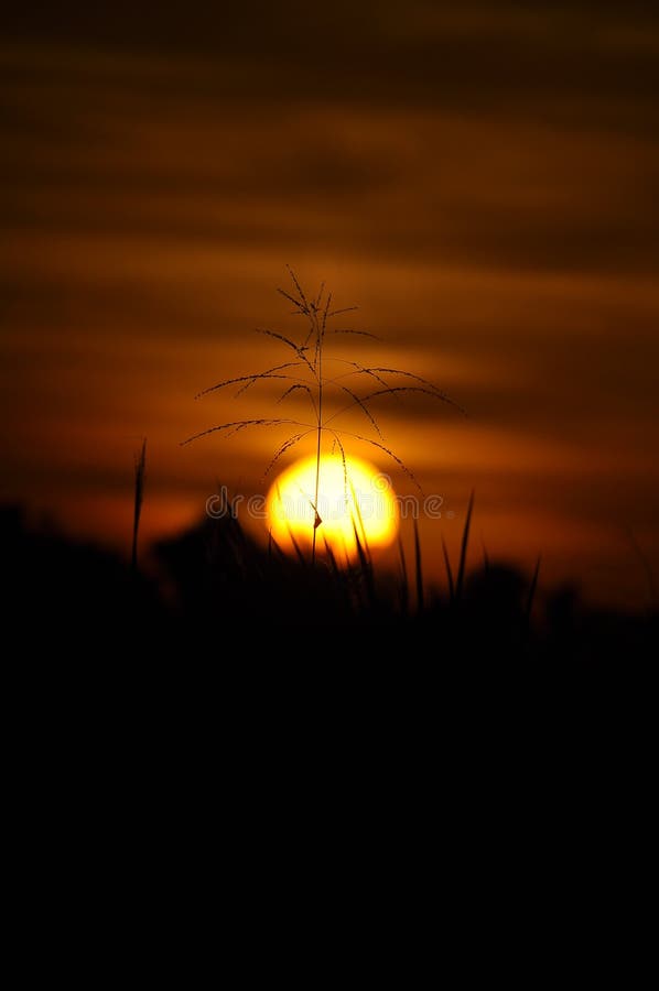Circle sun stock image. Image of clouds, fiery, sunset - 35946579