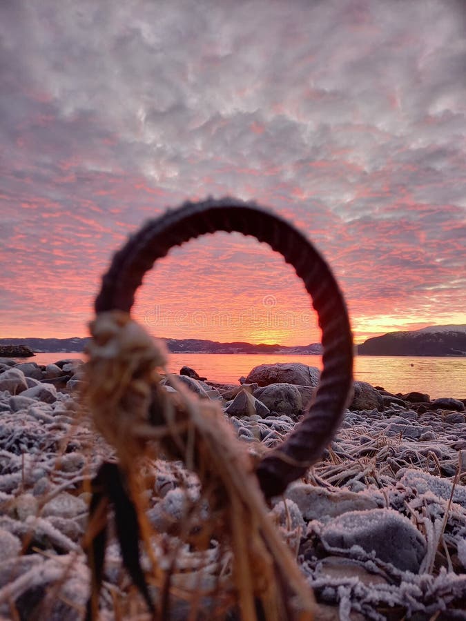 A circle with Sunset stock photo. Image of insect, organ - 206877310