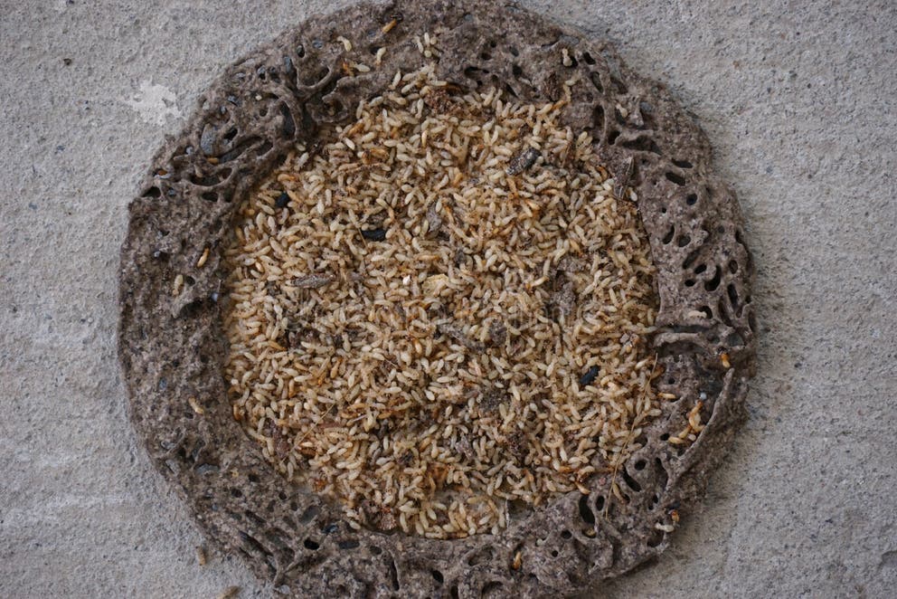 Circle of termite hill stock image. Image of black, termite - 62548409