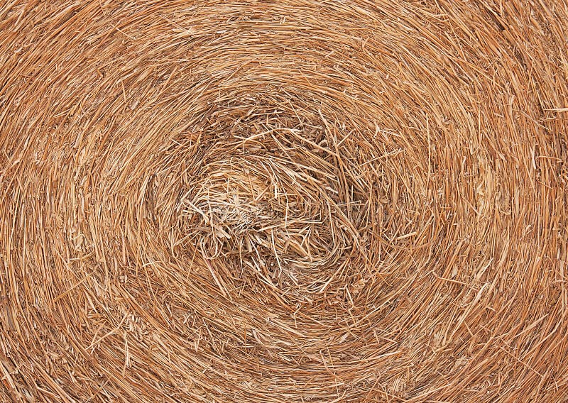 Circle Thatch Texture and Wallpaper Stock Photo - Image of cover ...