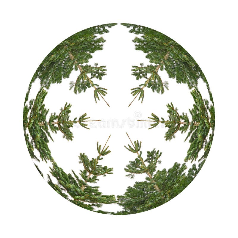 Circle Trees stock vector. Illustration of summer, green - 8644115