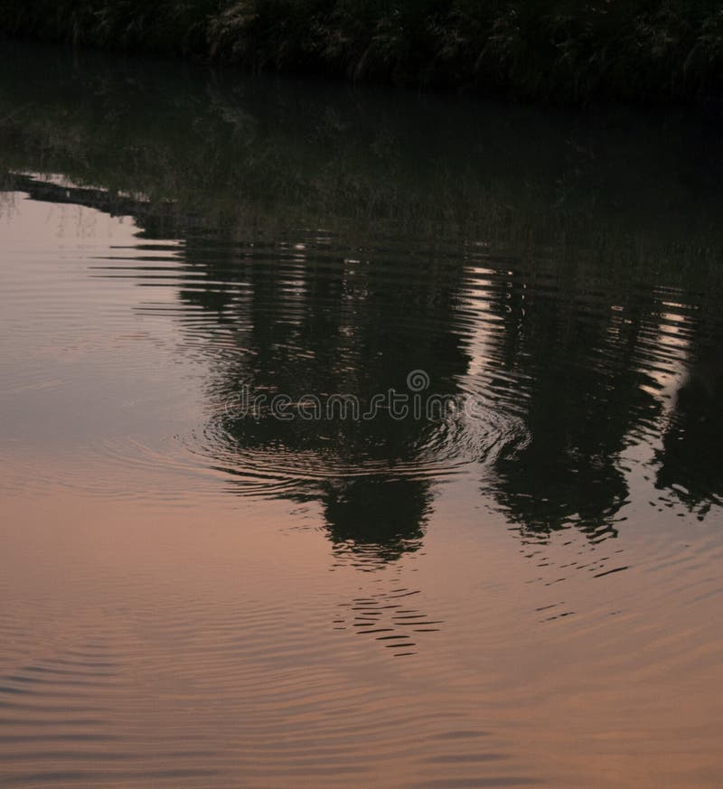 Circle in the water stock photo. Image of river, water - 117908476