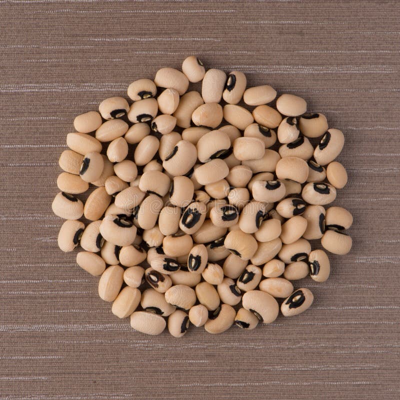 Circle of white beans stock photo. Image of healthy - 193896096