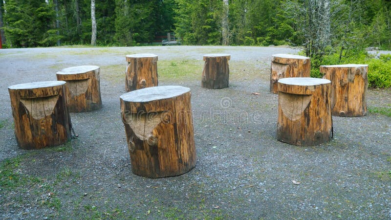 8 Wooden Stools Outside in the Forest Stock Photo - Image of nature ...