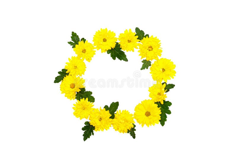 Circle of Yellow Flowers Isolated on White Background Stock Photo ...