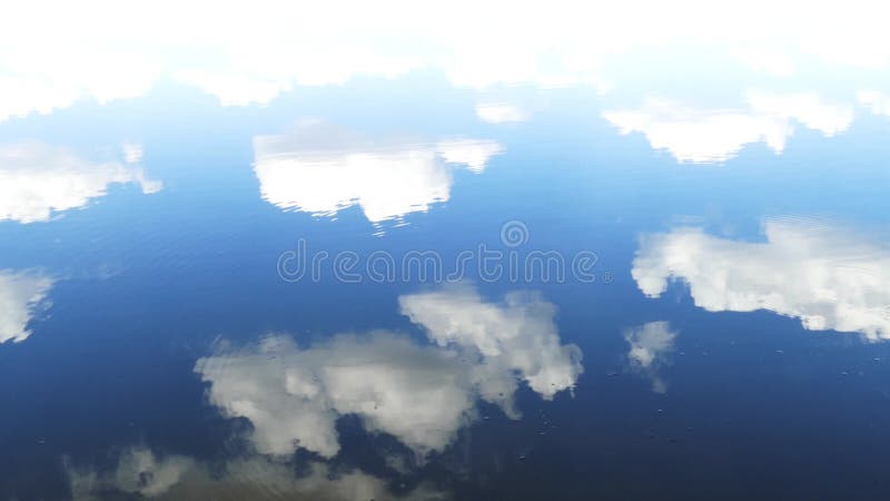 Circles Flow Along Surface of Water Stock Video - Video of liquid, pond ...