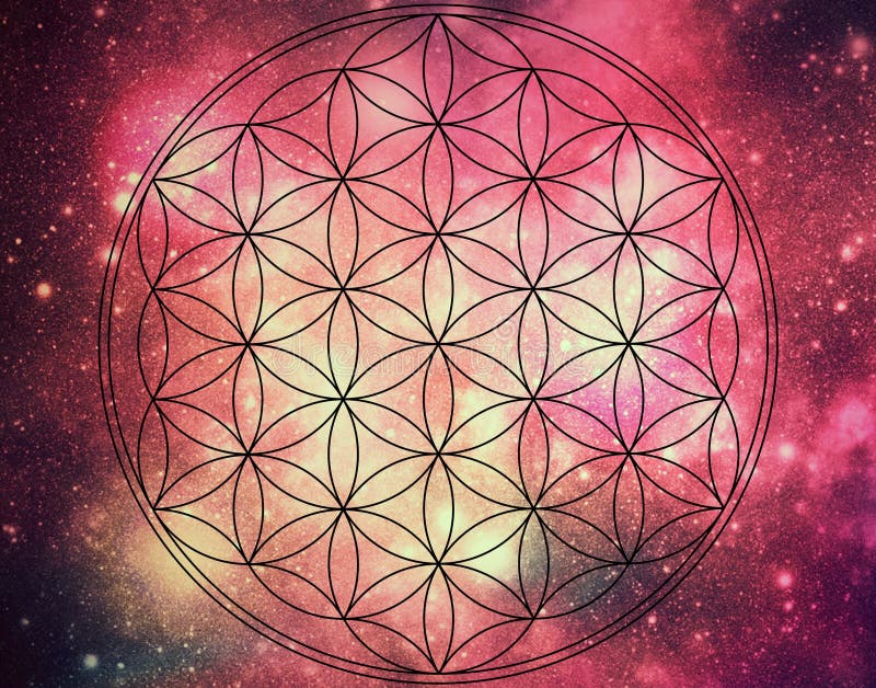 Circles of life stock illustration. Illustration of organ - 259331385