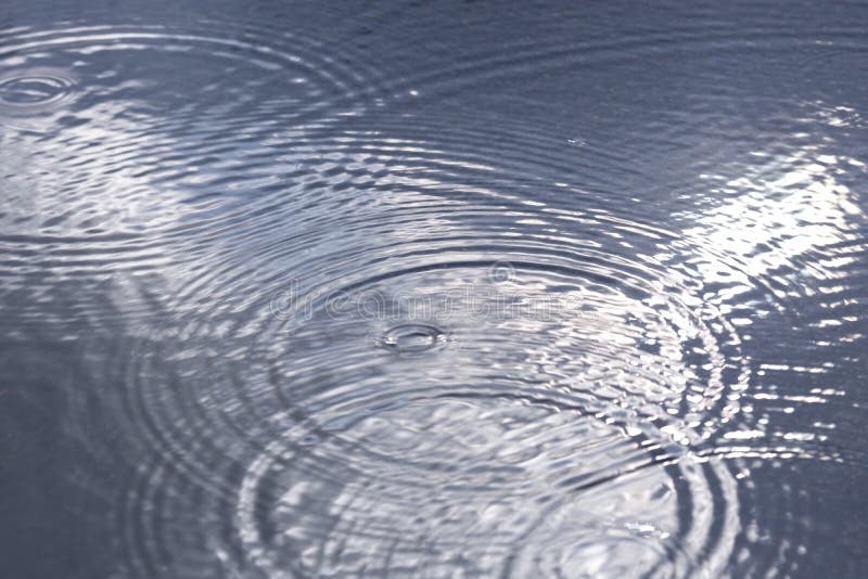 Circles from rain on water stock image. Image of liquid - 233057113