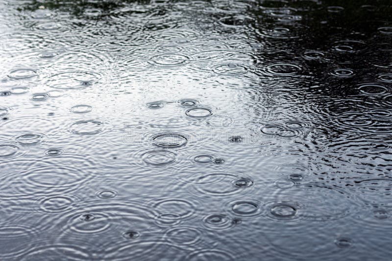 Circles from rain on water stock image. Image of pond - 233061041
