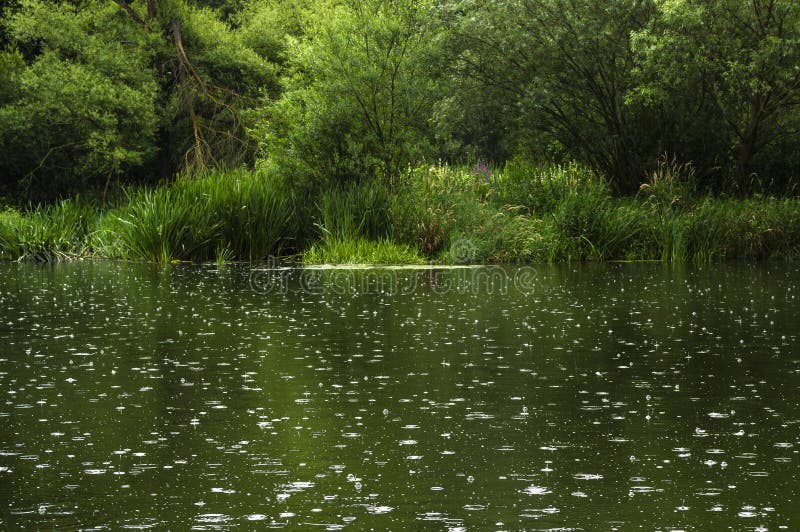 Circles on the Surface of the River from Raindrops Stock Image - Image ...