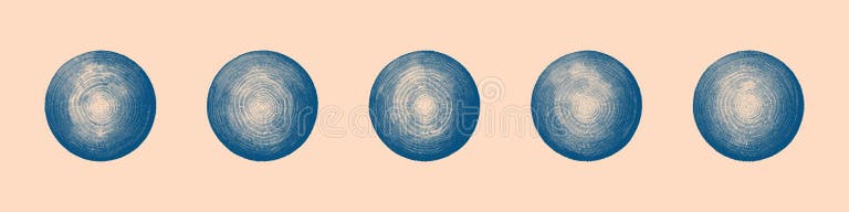 Circles with Various Unique Hand Drawn Concentric Hatch Vector Set ...