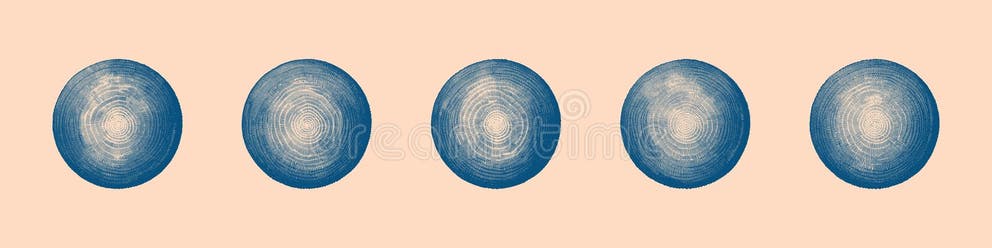 Circles with Various Unique Hand Drawn Concentric Hatch Vector Set ...